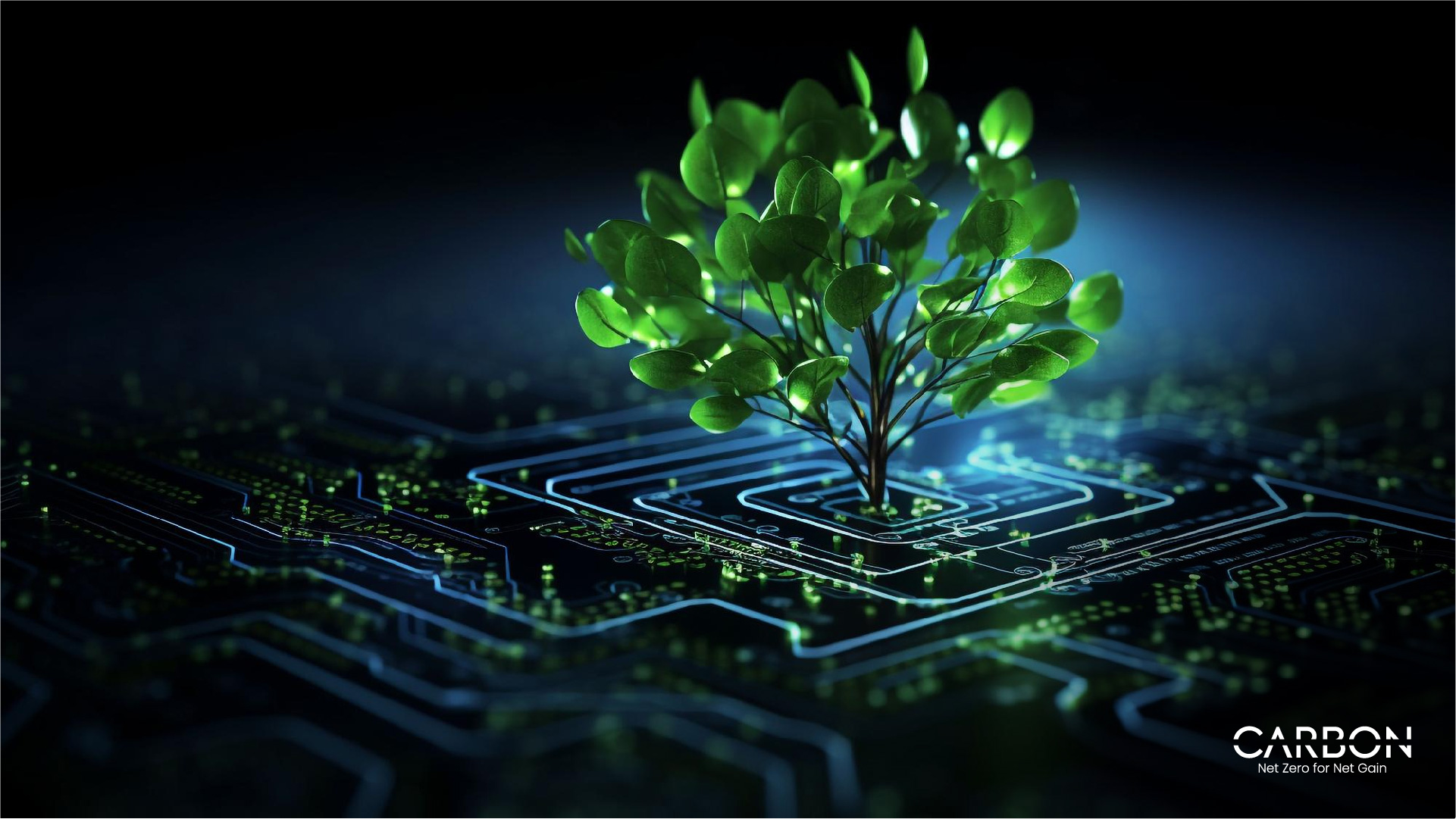 Sustainability & Profitability: A Unified Approach | CarbonMinus