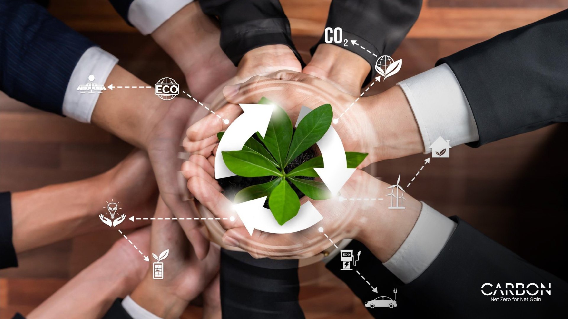 Leveraging Corporate Sustainability for Business Success